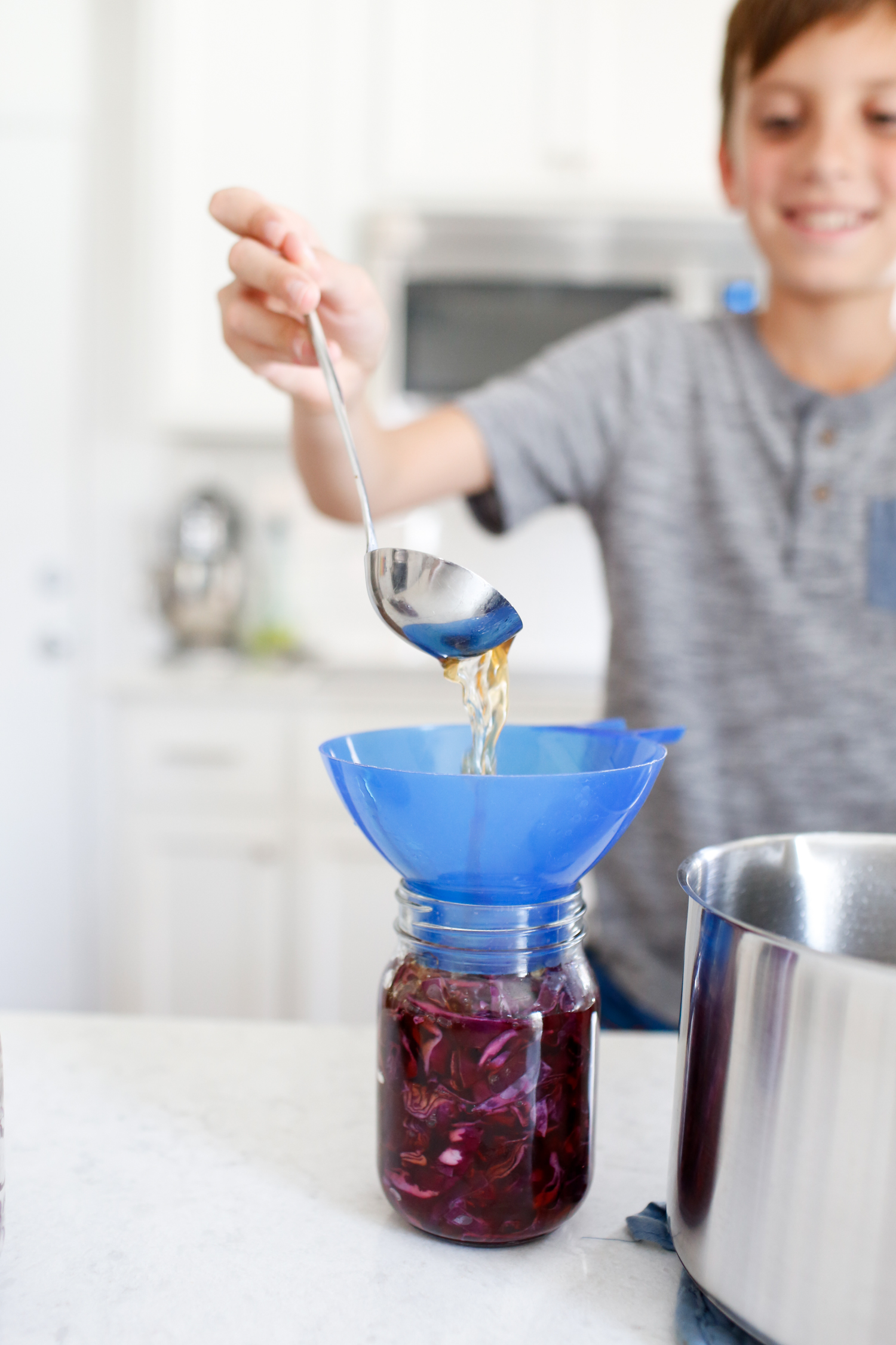 German Pickled Purple Cabbage - Radish Mama