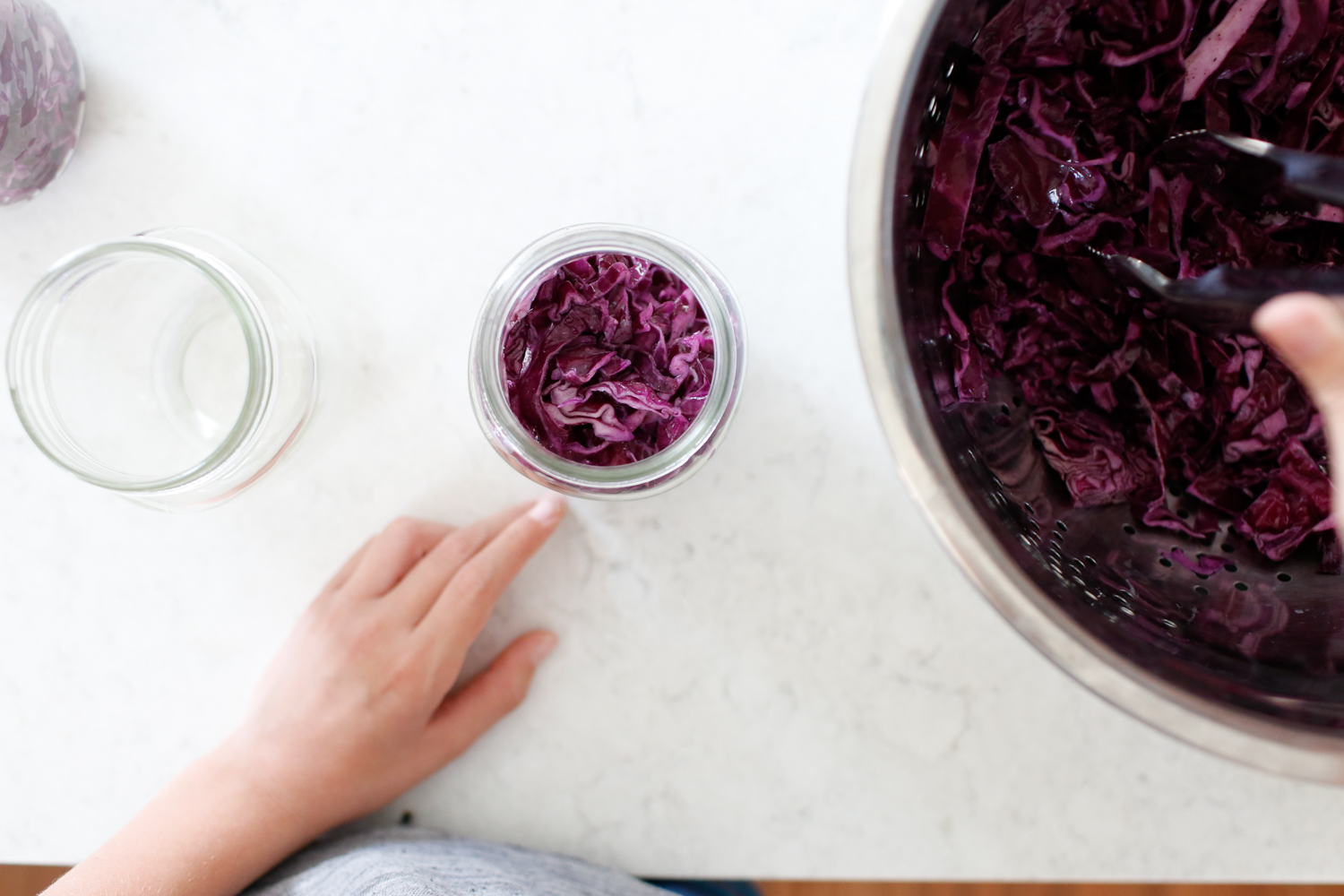 German Pickled Purple Cabbage - Radish Mama
